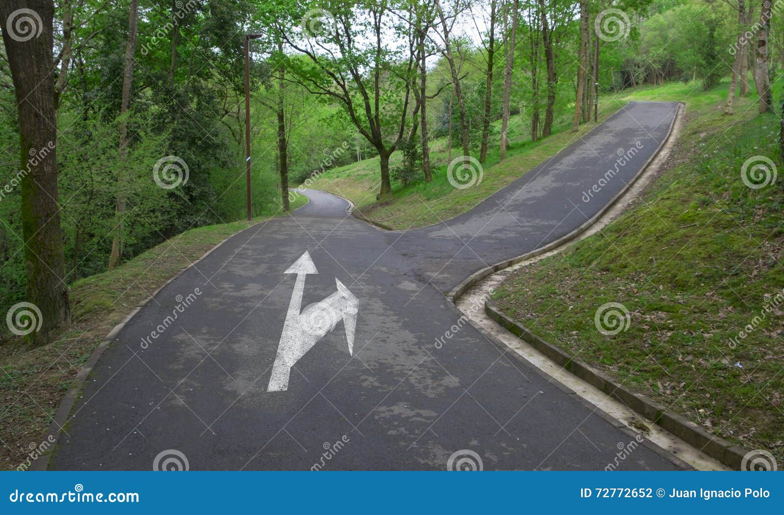 Many Roads To Choose