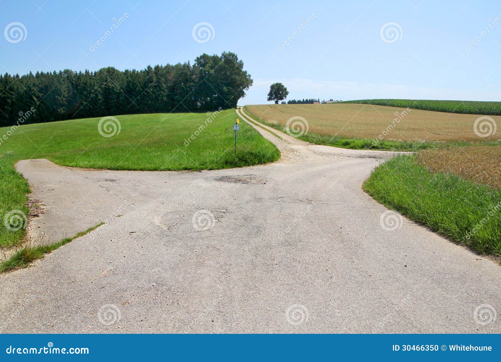 Crossroad in fields stock photo. Image of lane, pasture - 30466350