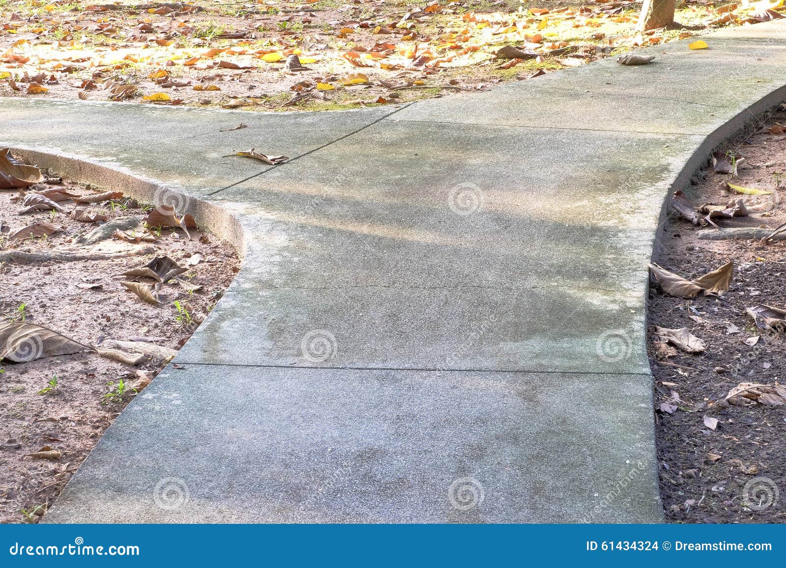 Crossroad in the Garden, Three Way Intersection Stock Photo - Image of ...