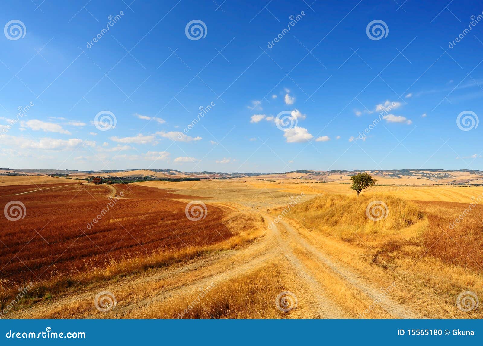Crossroads stock photo. Image of intersection, farmland - 15565180