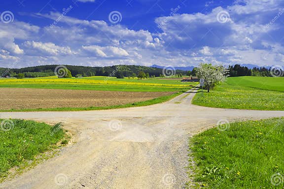 Crossroads stock photo. Image of weather, cross, background - 17789282