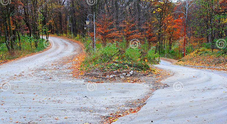 Crossroads stock image. Image of path, fall, choice, trees - 27358497