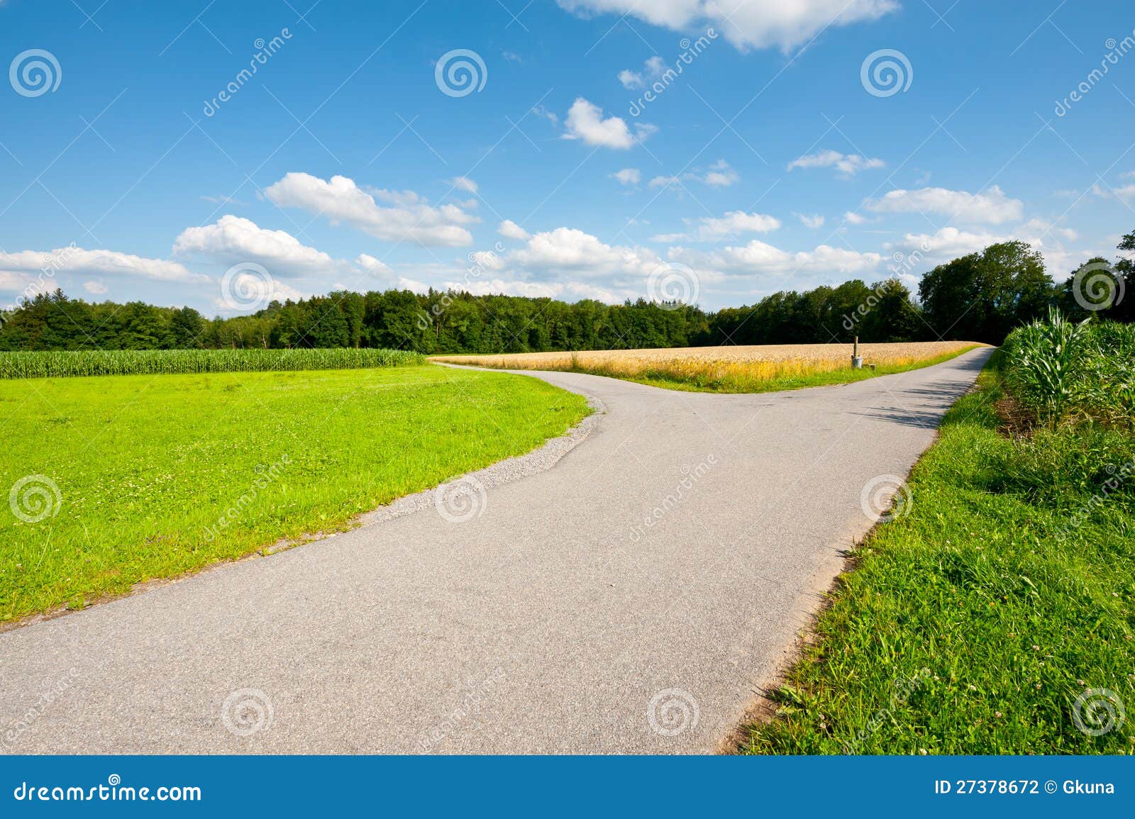 Crossroads stock photo. Image of cultivated, crossroads - 27378672