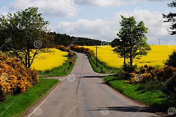 Crossroads stock image. Image of colors, fields, seed - 7174069