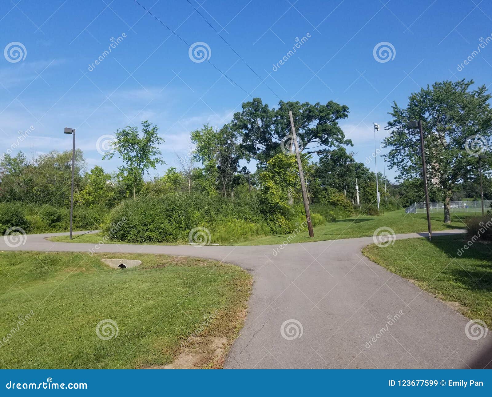 At a Crossroads stock image. Image of path, pathways - 123677599