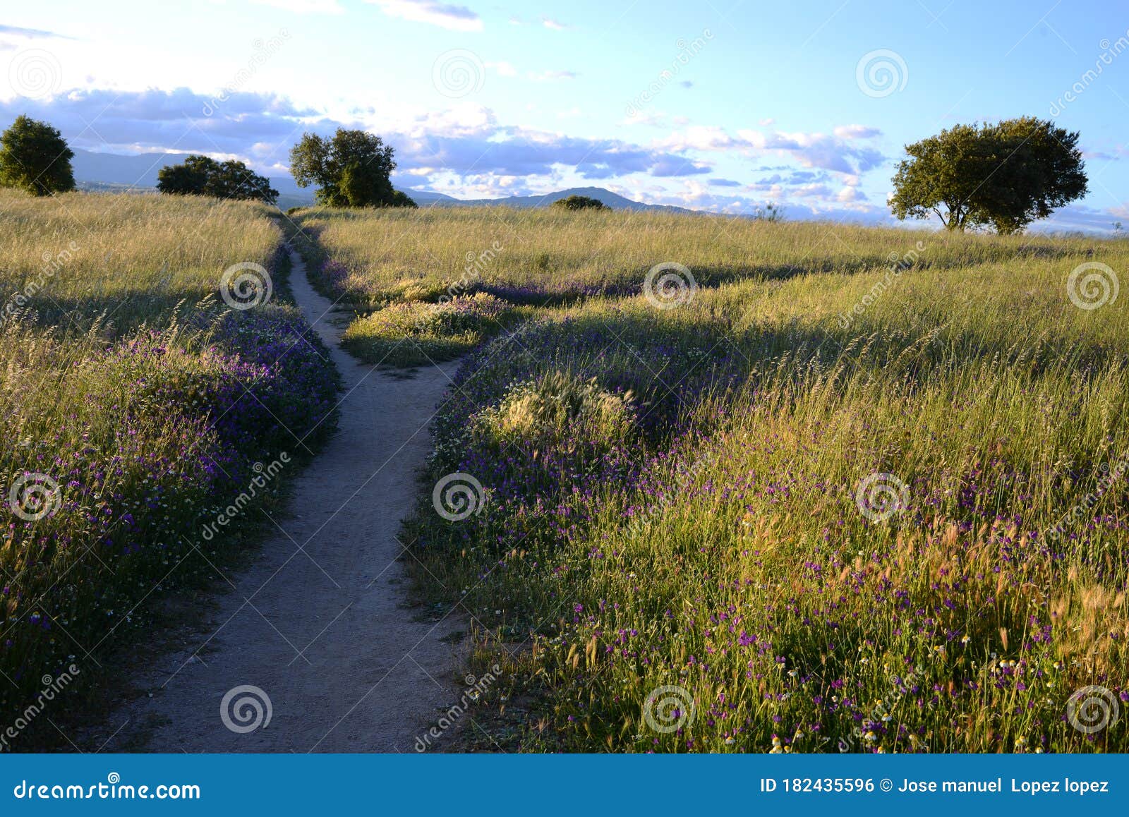 Crossroads on a dirt path stock photo. Image of autumn - 182435596