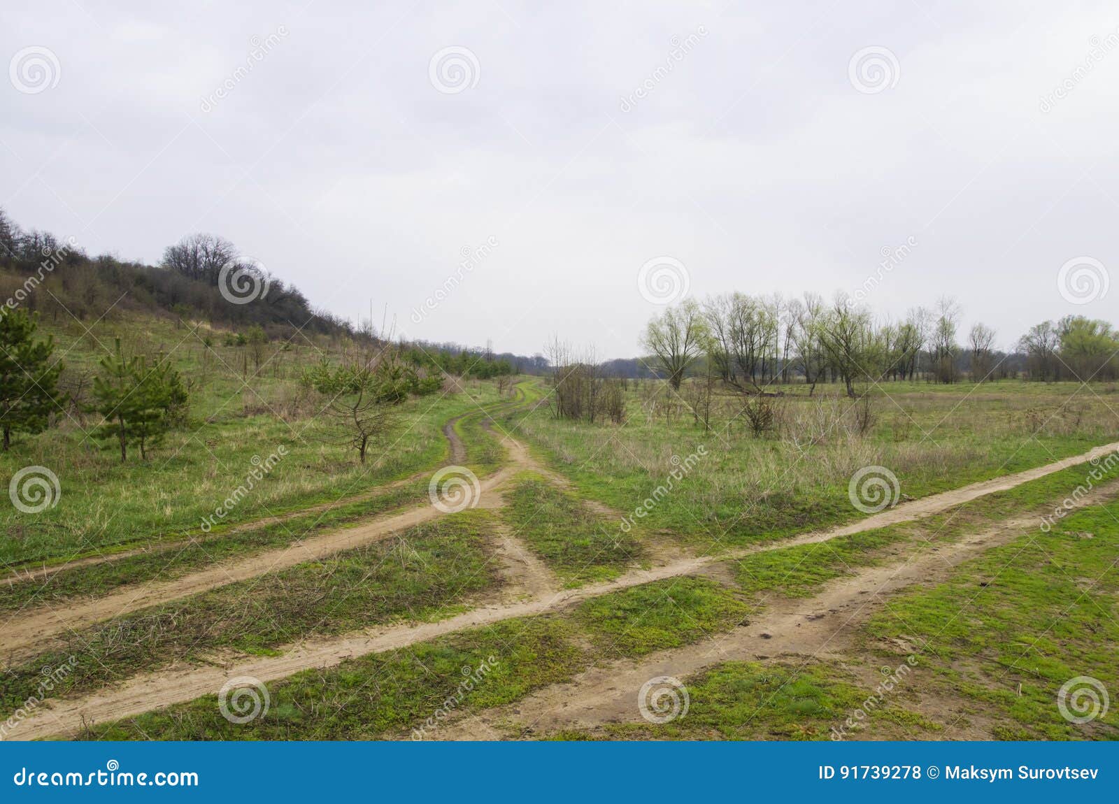 Crossroads of field roads stock photo. Image of forked - 91739278