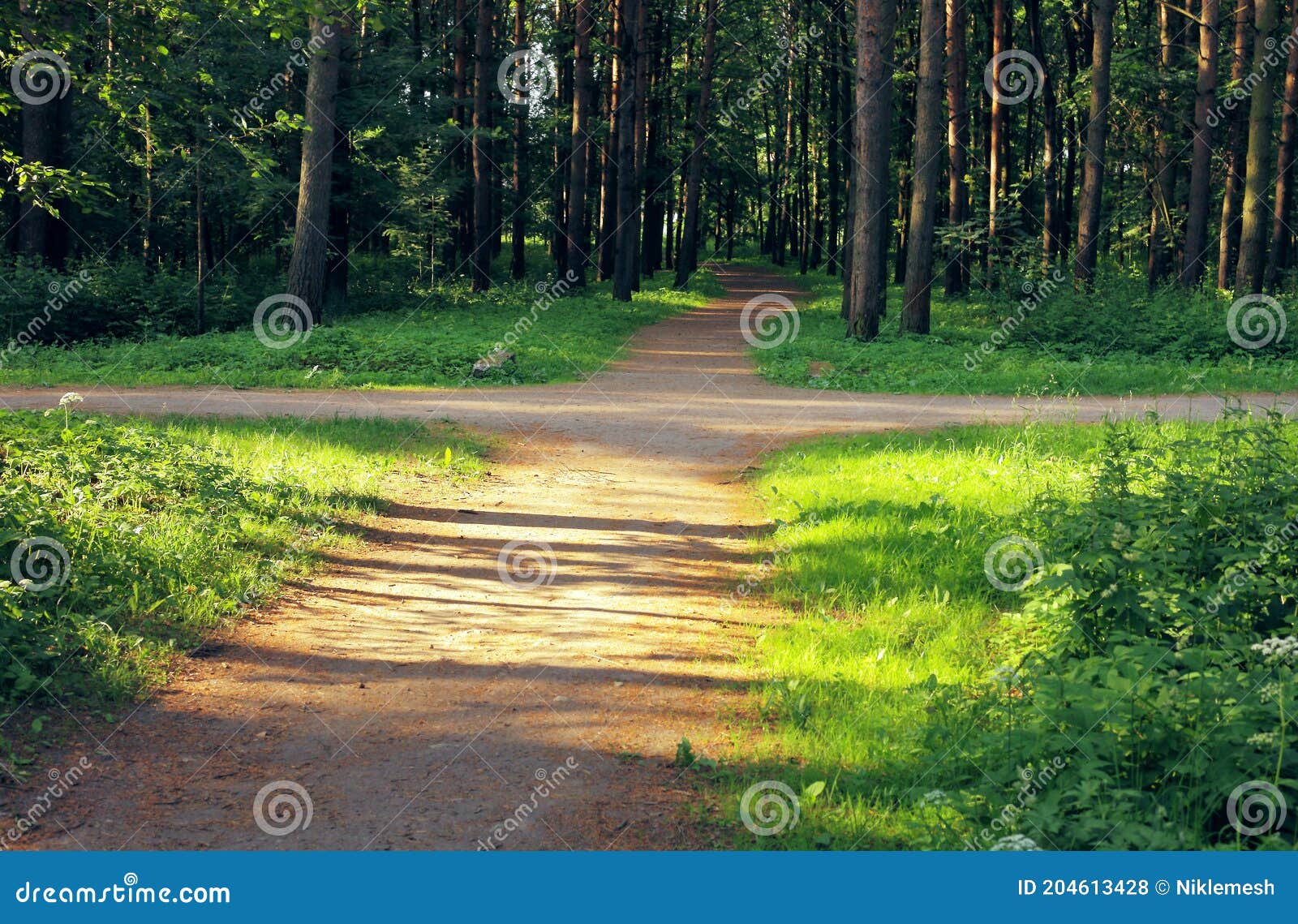 Crossroads of Footpaths in the Park. Two Paths in the Rays of the Sun ...