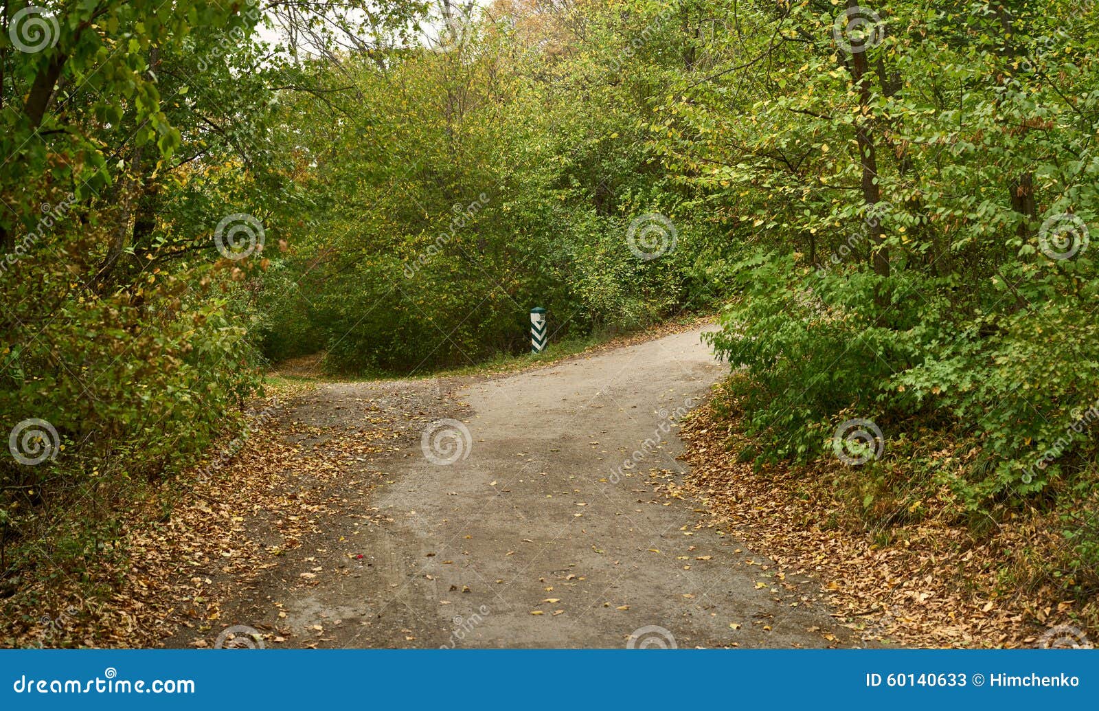 Crossroads in the forest stock image. Image of environment - 60140633