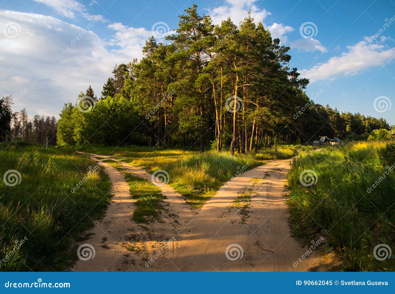 Two Roads. Stock Image | CartoonDealer.com #48132403