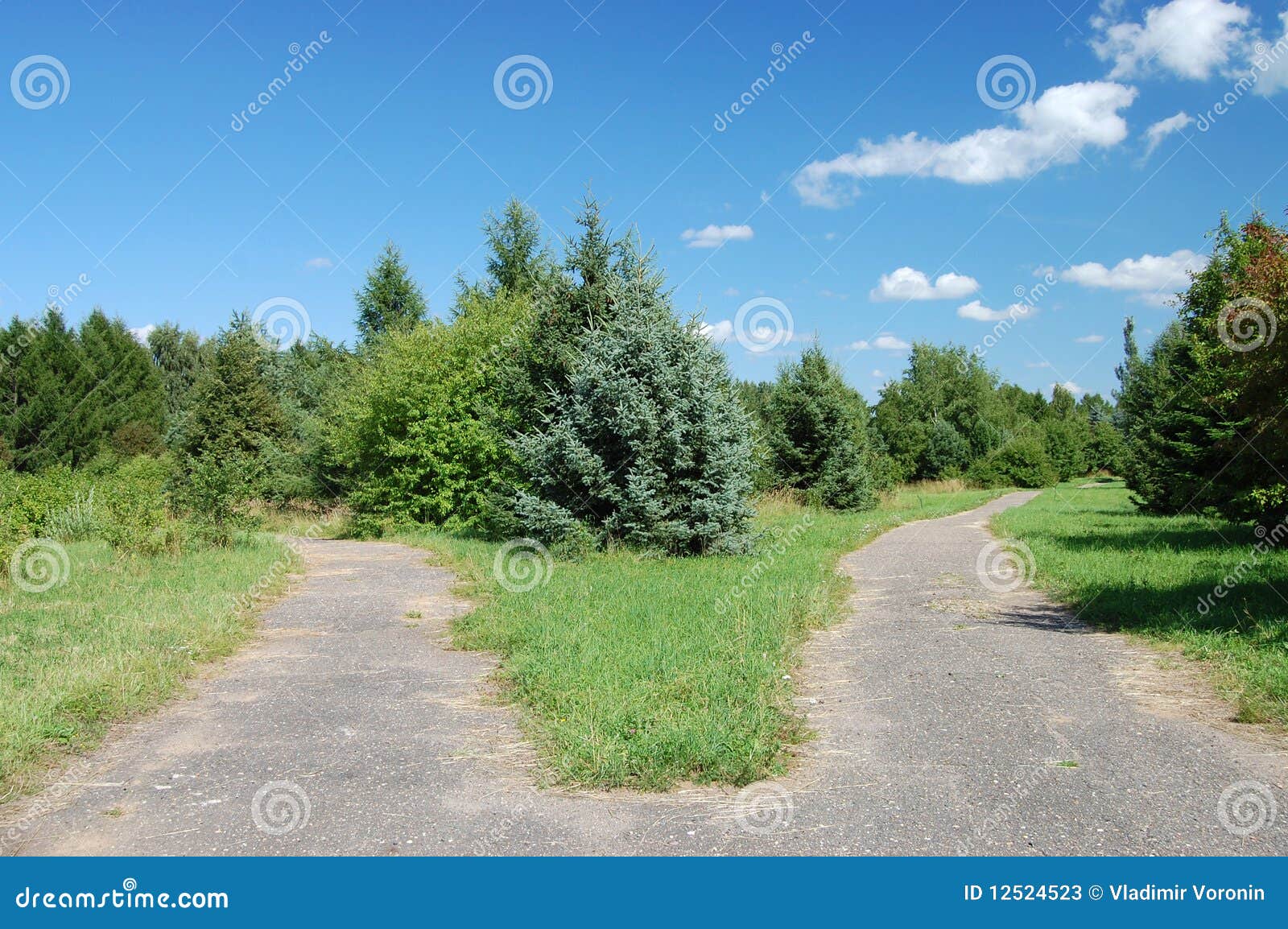 Crossroads in the park stock image. Image of bush, placid - 12524523