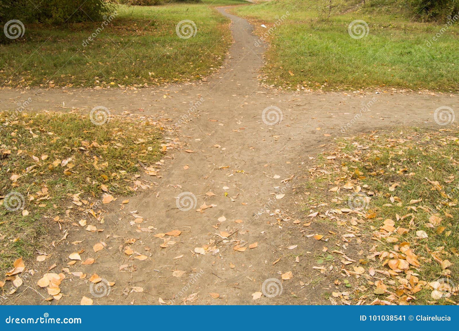 The Crossroads of Paths in the City Autumn Park Autumn Stock Image ...