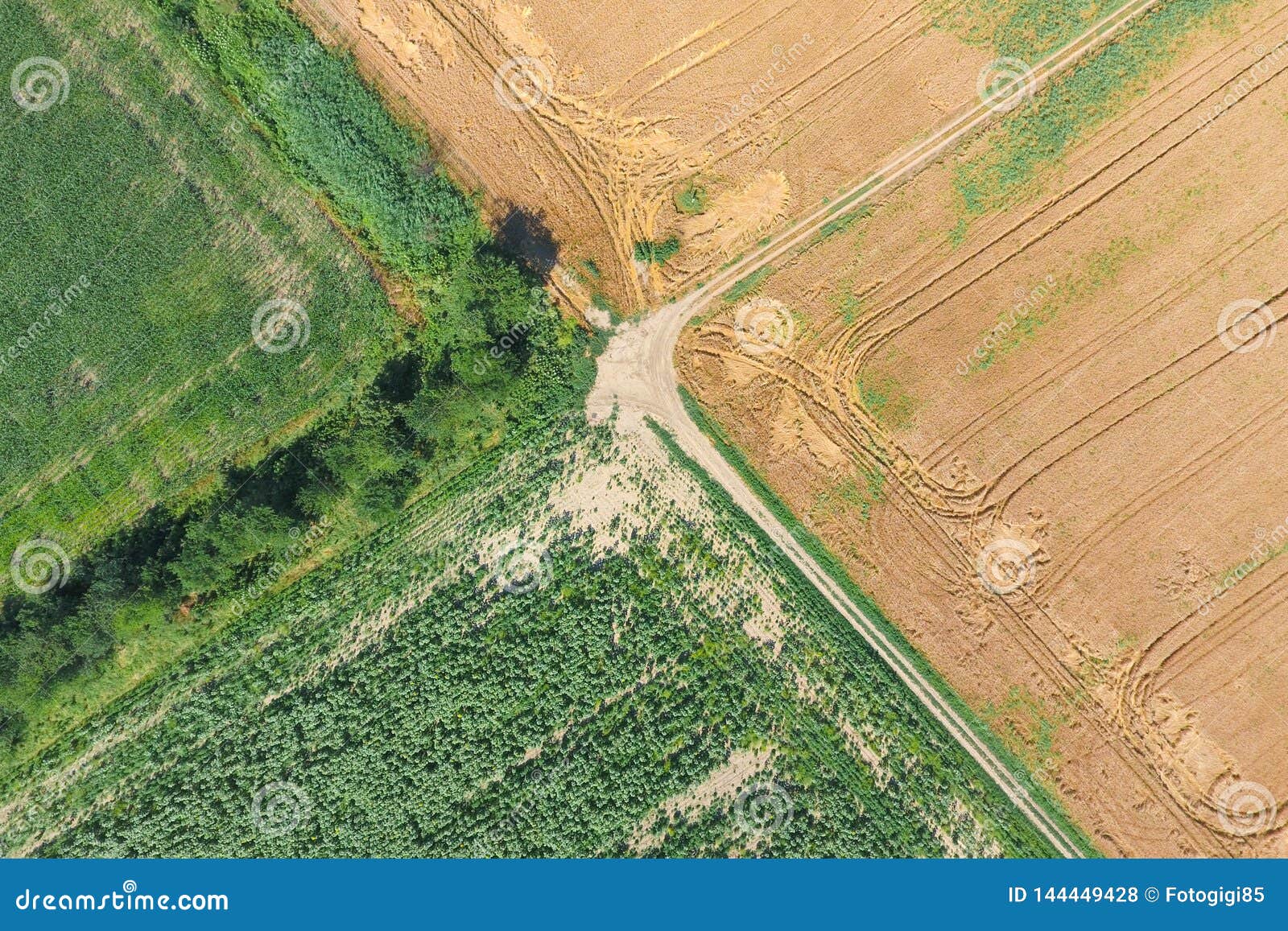 Crossroads Paved Roads through Stock Photo - Image of rotation, road ...