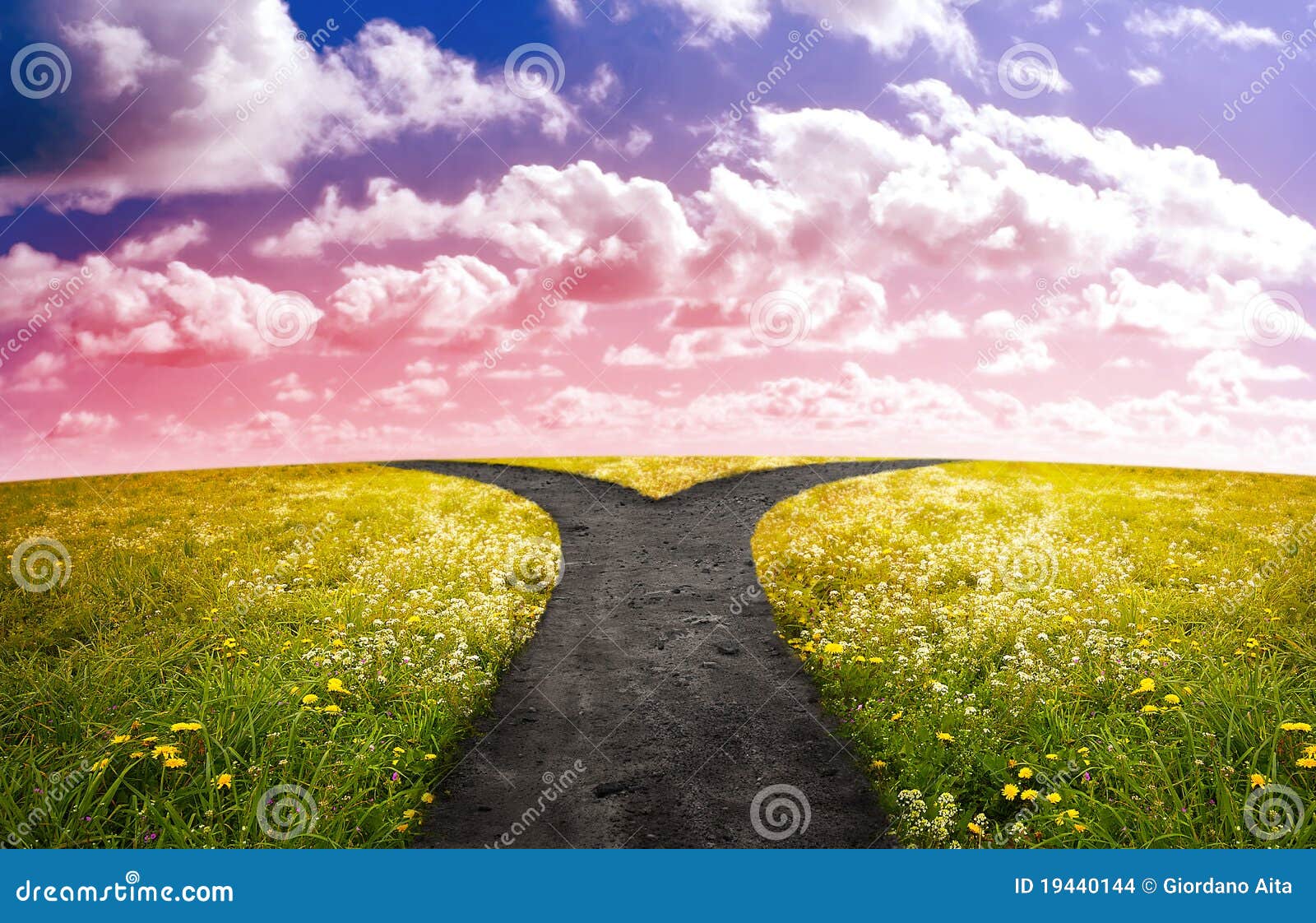 Crossroads in sunset time stock photo. Image of flowers - 19440144