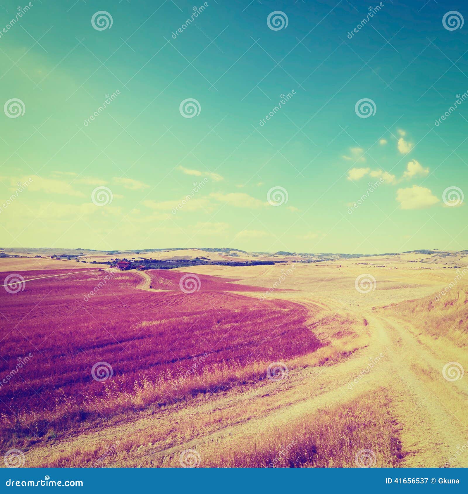 Crossroads stock image. Image of beauty, crossroads, crop - 41656537