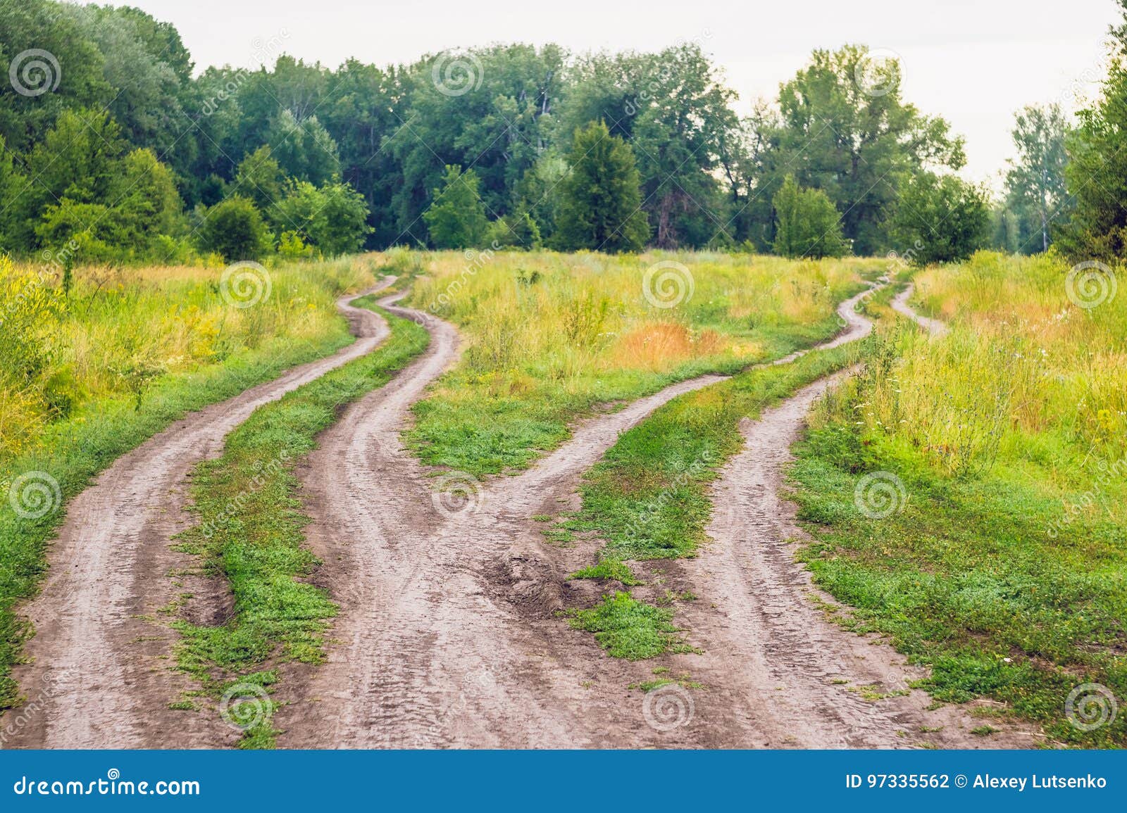 Divergence Of Directions. The Wide Path In The Park Is Divided Into Two ...