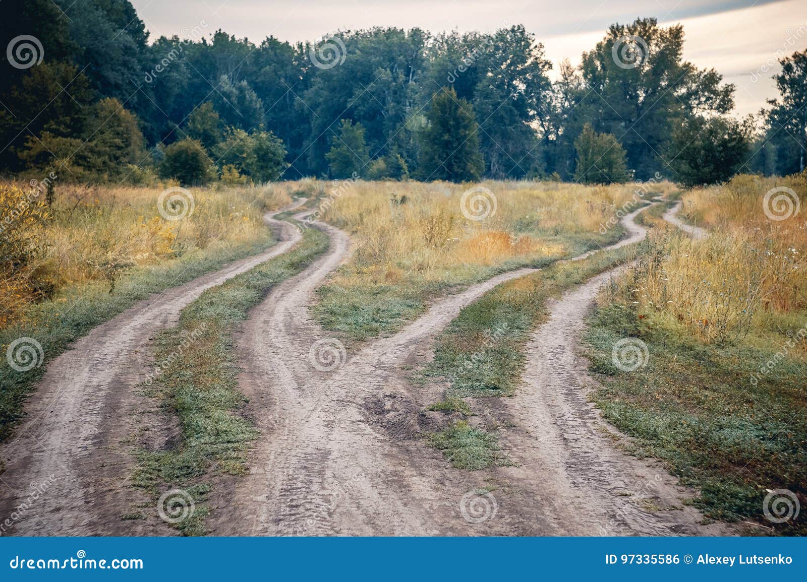 Crossroads, Two Different Directions in the Field Stock Photo - Image ...
