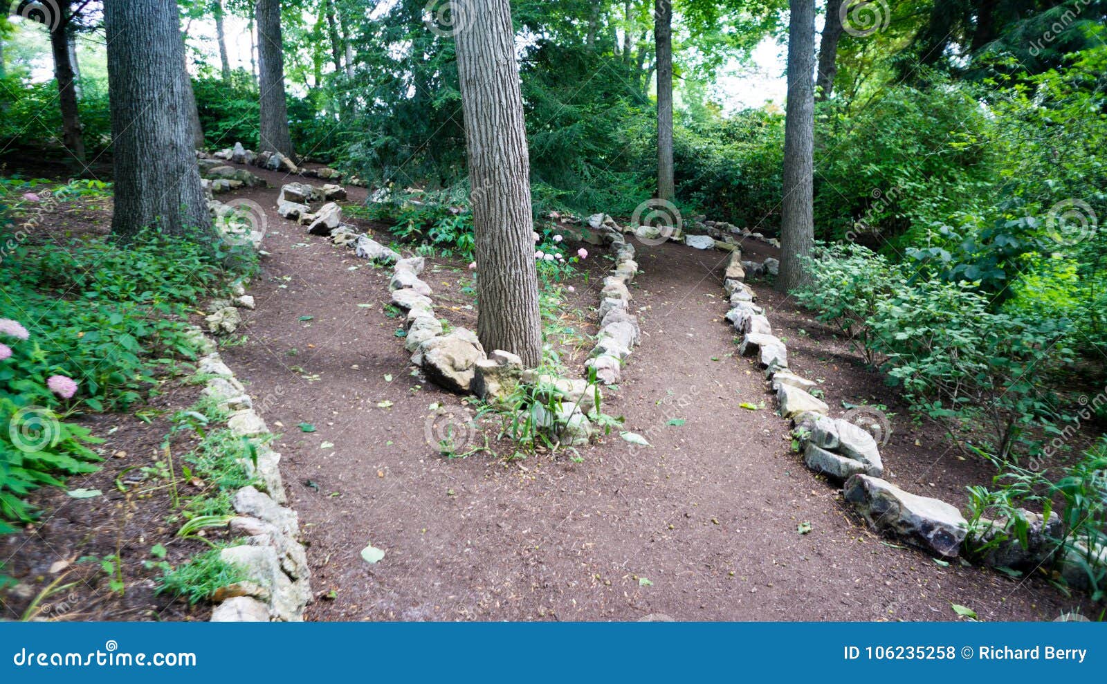 Crossroads in the woods stock photo. Image of road, montessori - 106235258