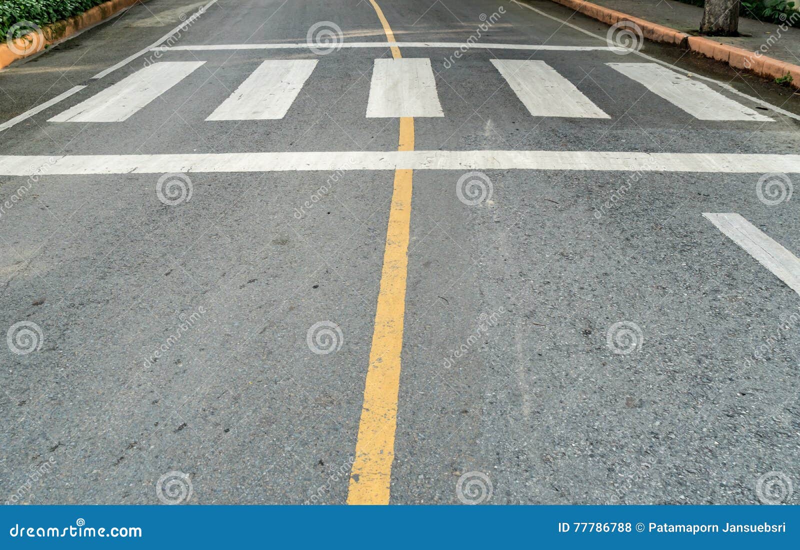 Crosswalk on asphalt road stock photo. Image of sidewalk - 77786788