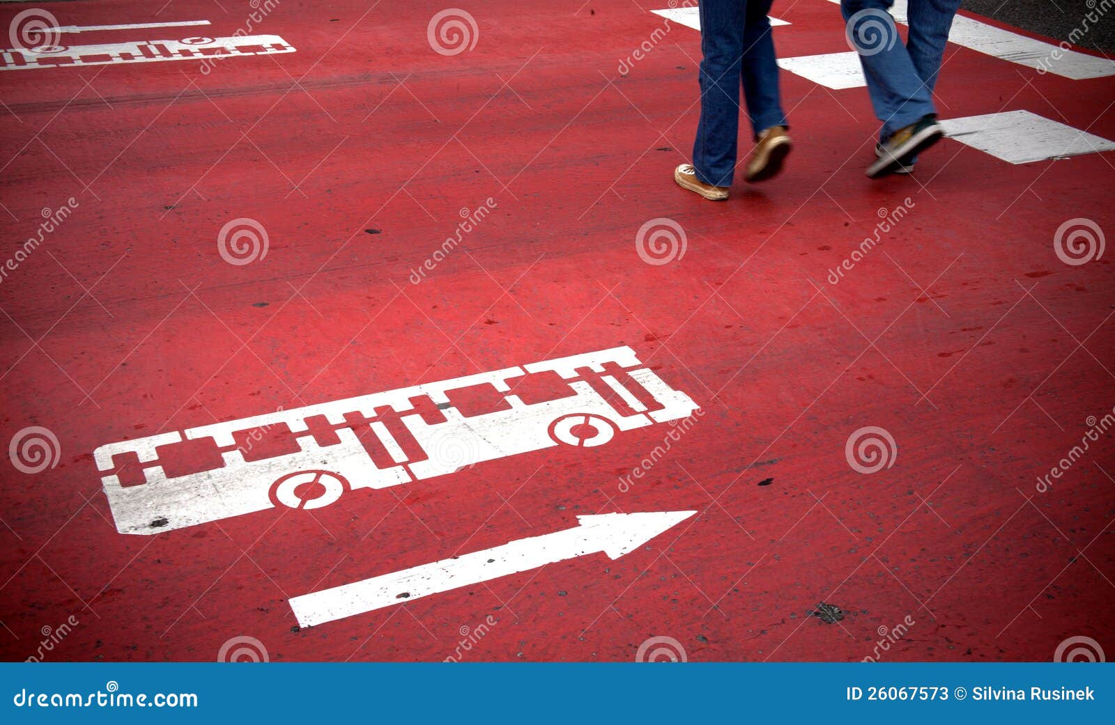 Crosswalk with bus sign stock image. Image of traffic - 26067573
