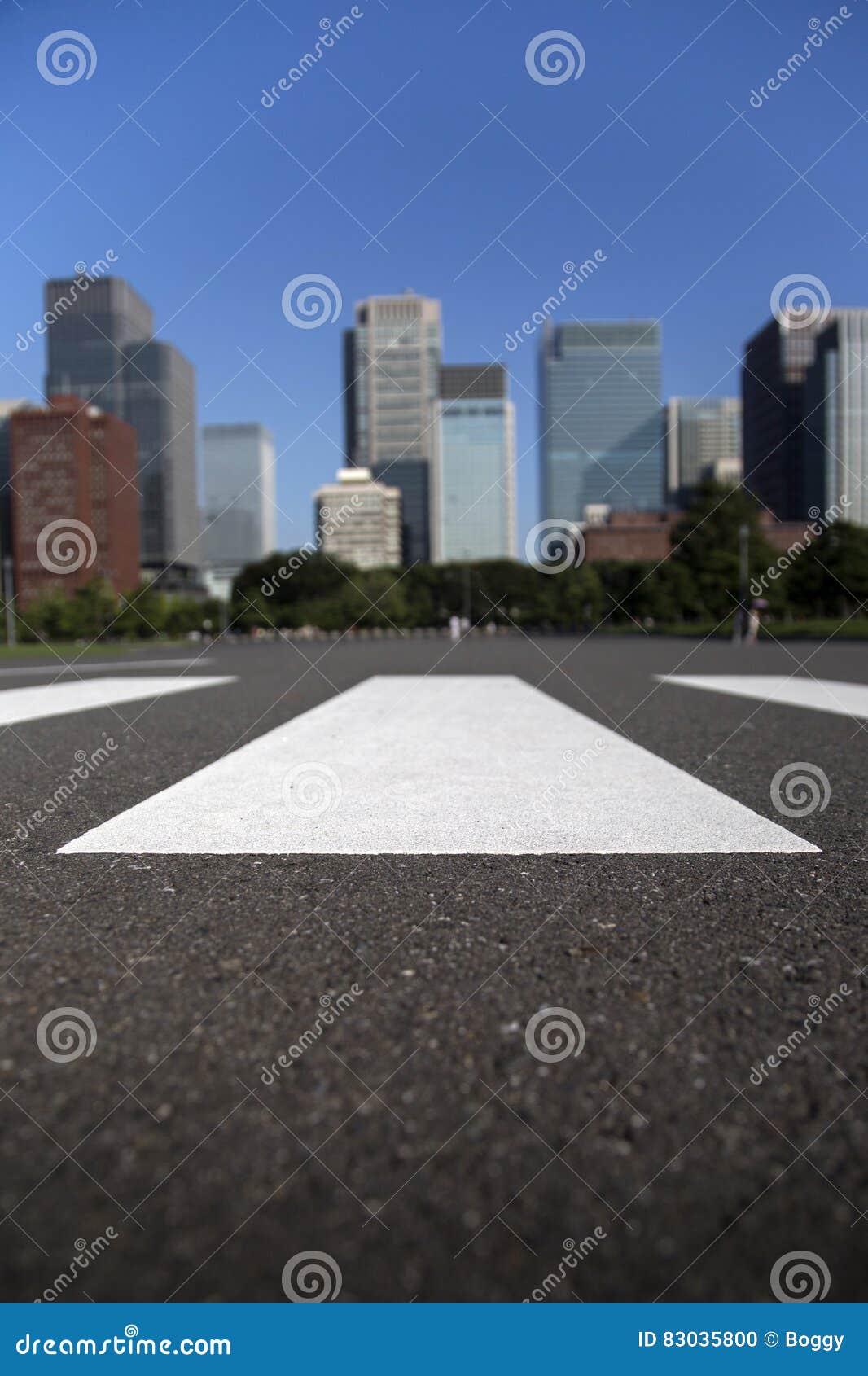 Crosswalk stock photo. Image of stripe, zebra, view, street - 83035800