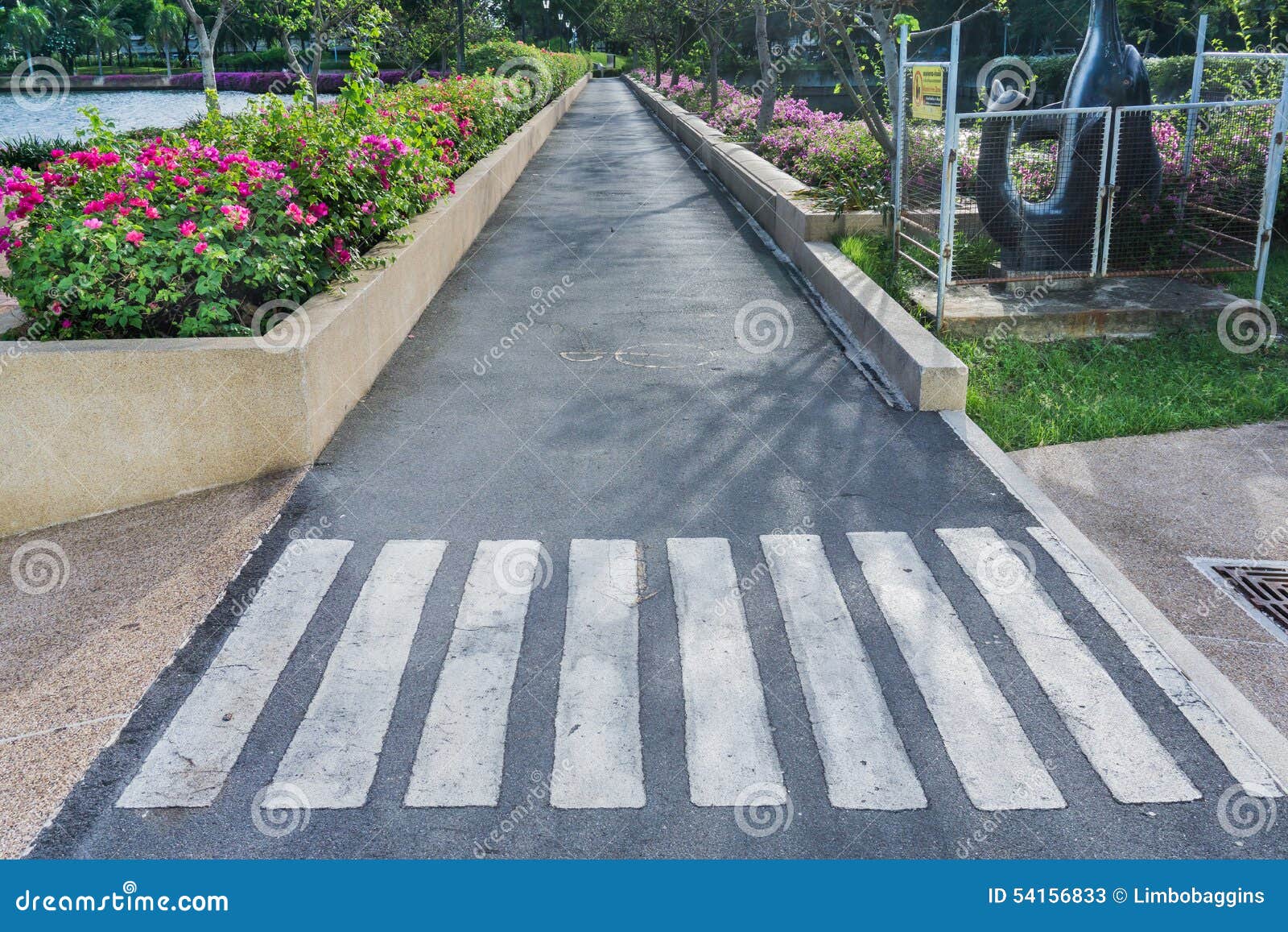 Crosswalk in the park stock image. Image of street, tree - 54156833