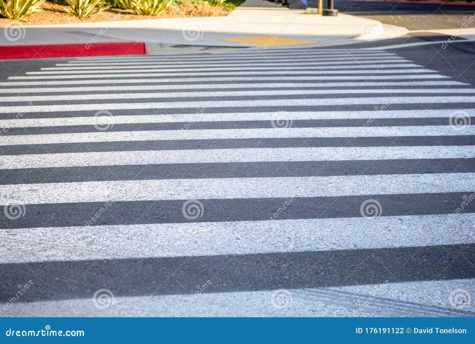 Crosswalk pattern stock photo. Image of transportation - 176191122