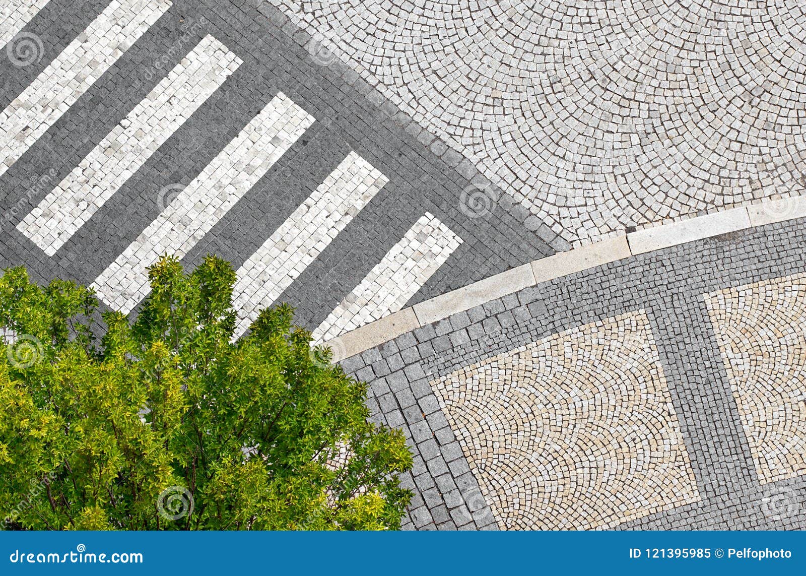 Crosswalk. stock image. Image of pedestrian, danger - 121395985