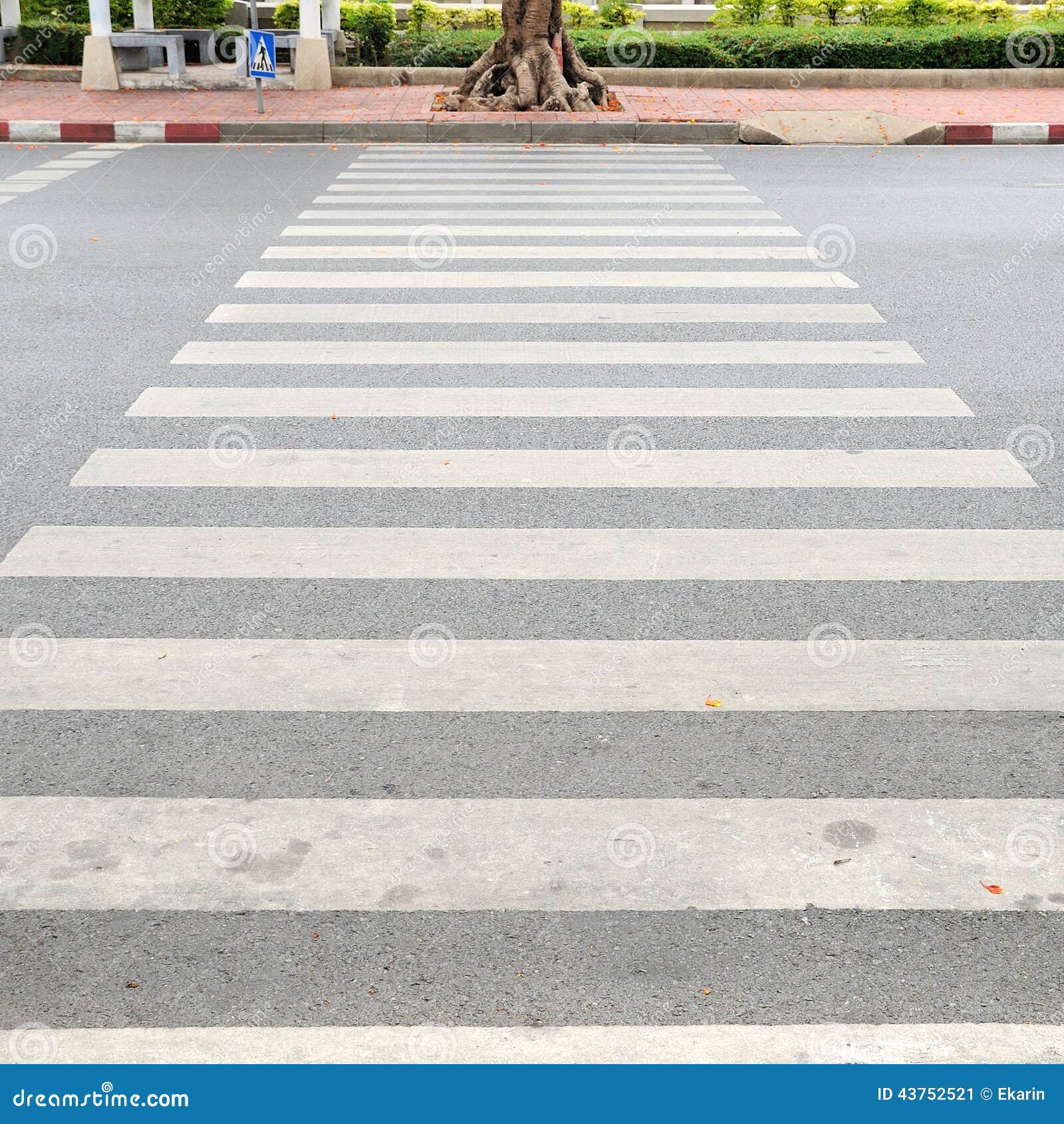 Crosswalk on Road in City, Pattern Stock Image - Image of street ...