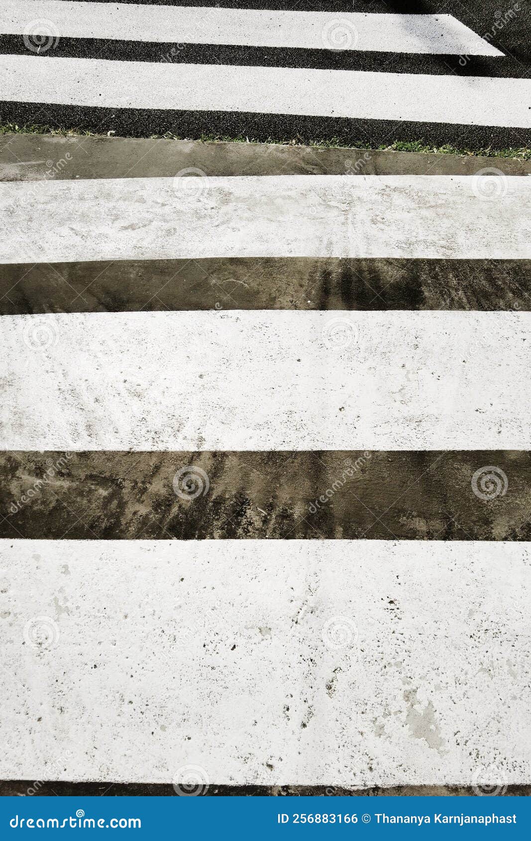 Crosswalk on the road stock photo. Image of pattern - 256883166