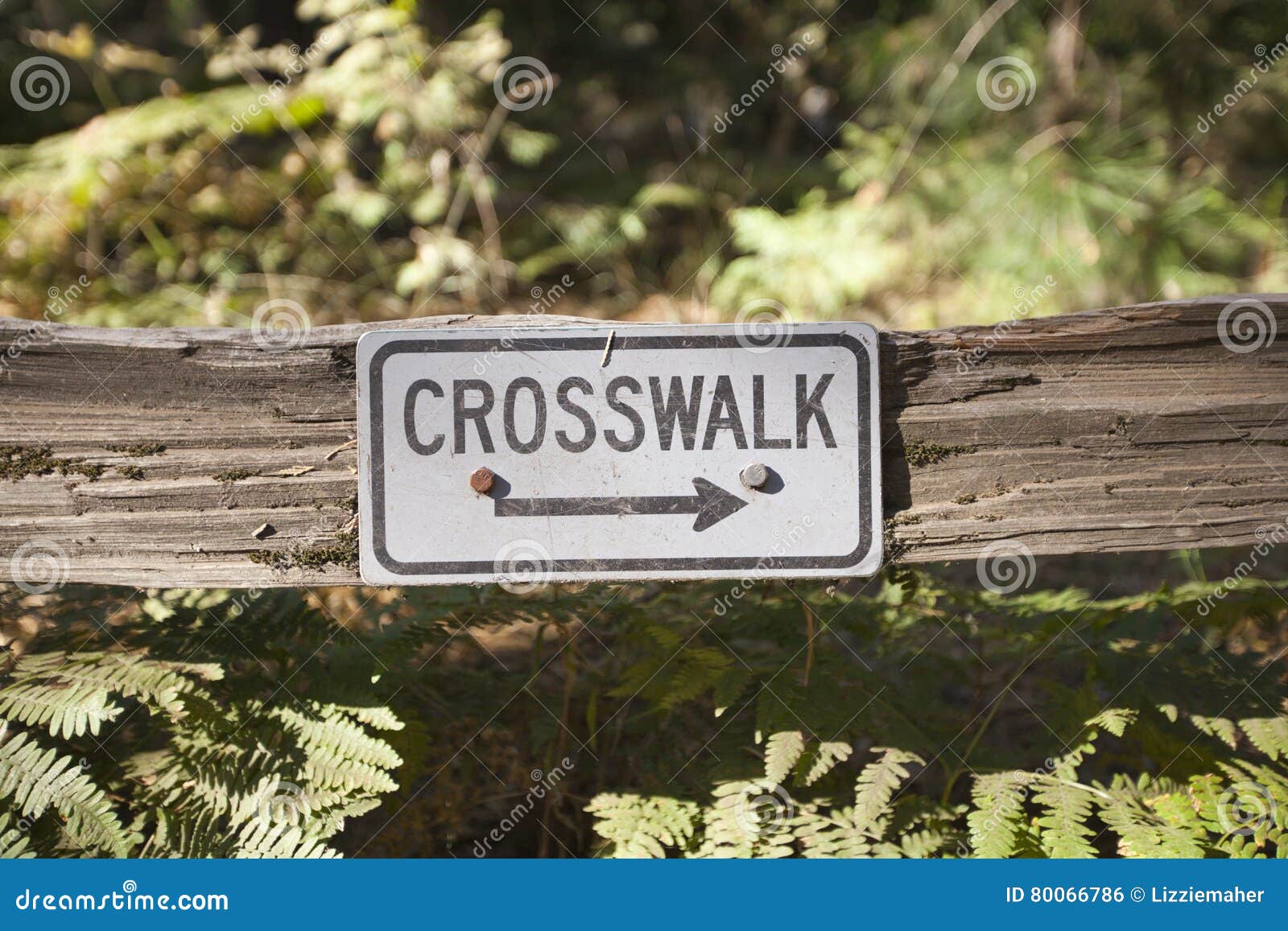 Crosswalk Sign stock photo. Image of safety, pedestrian - 80066786