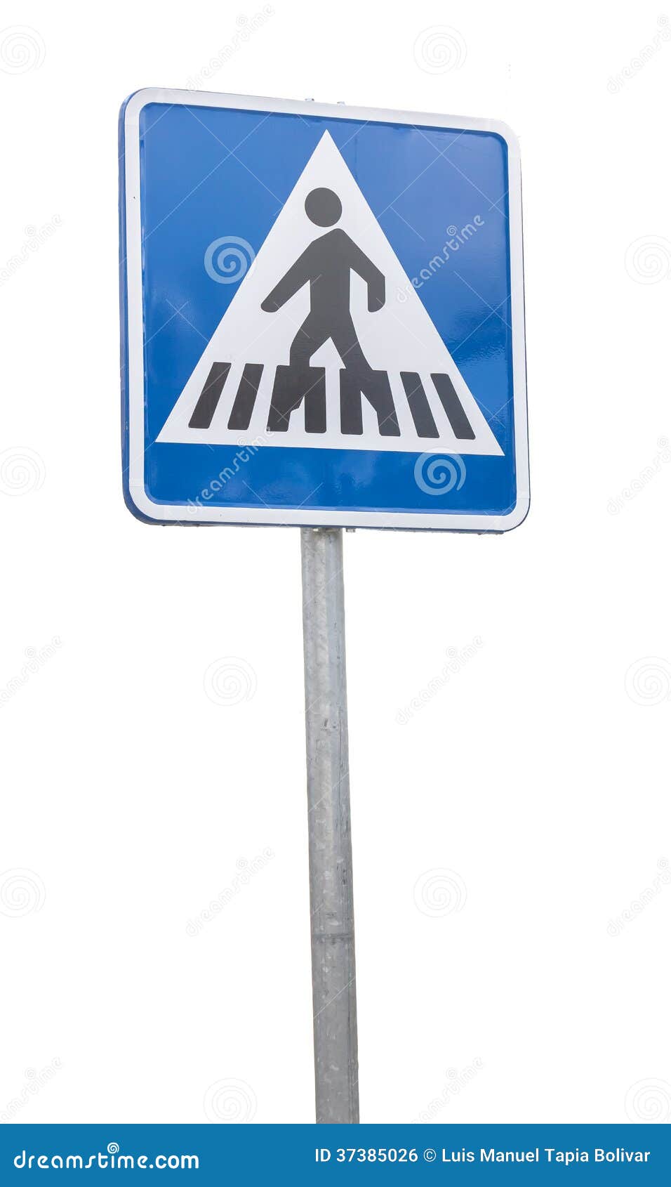 Crosswalk Signal stock photo. Image of rules, background - 37385026