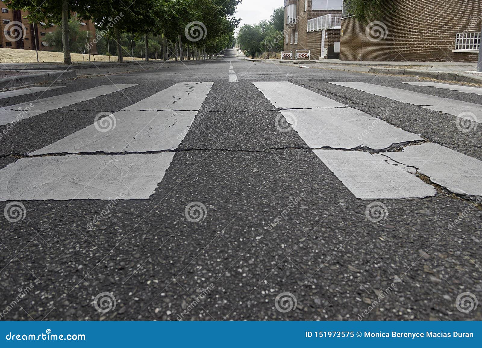 Crosswalk on the street stock image. Image of asphalt - 151973575