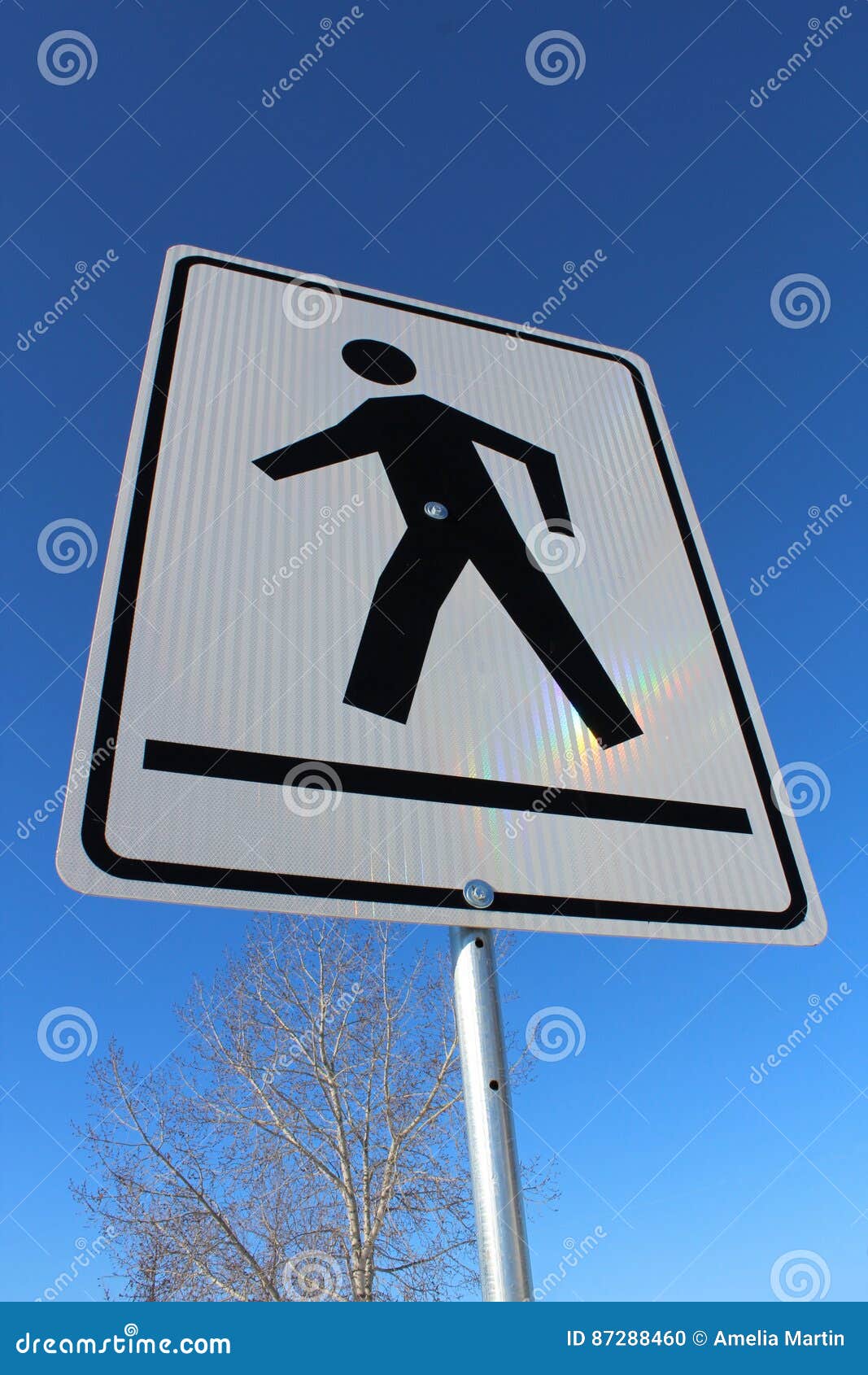 Crosswalk on a White Rectangle Sign Stock Photo - Image of govern ...
