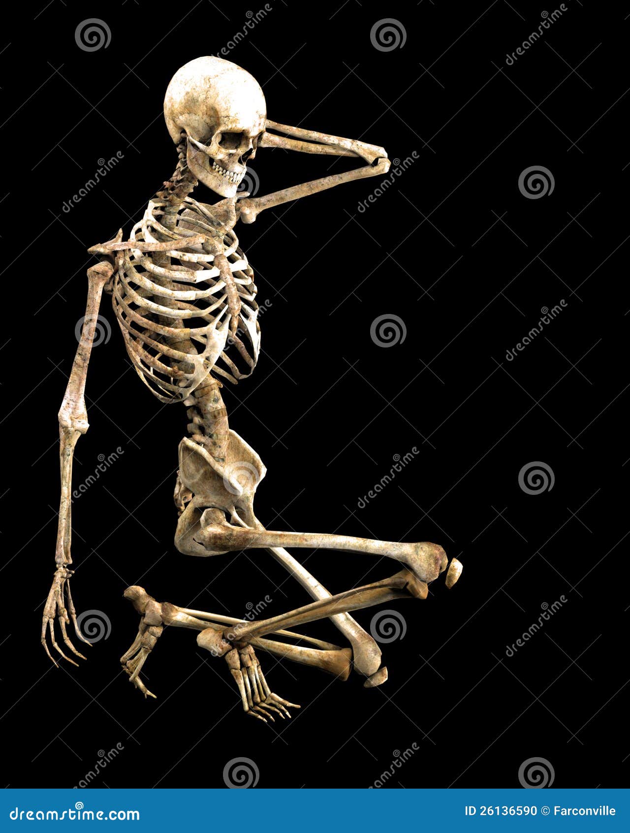 Crouched skeleton stock illustration. Illustration of mandible - 26136590