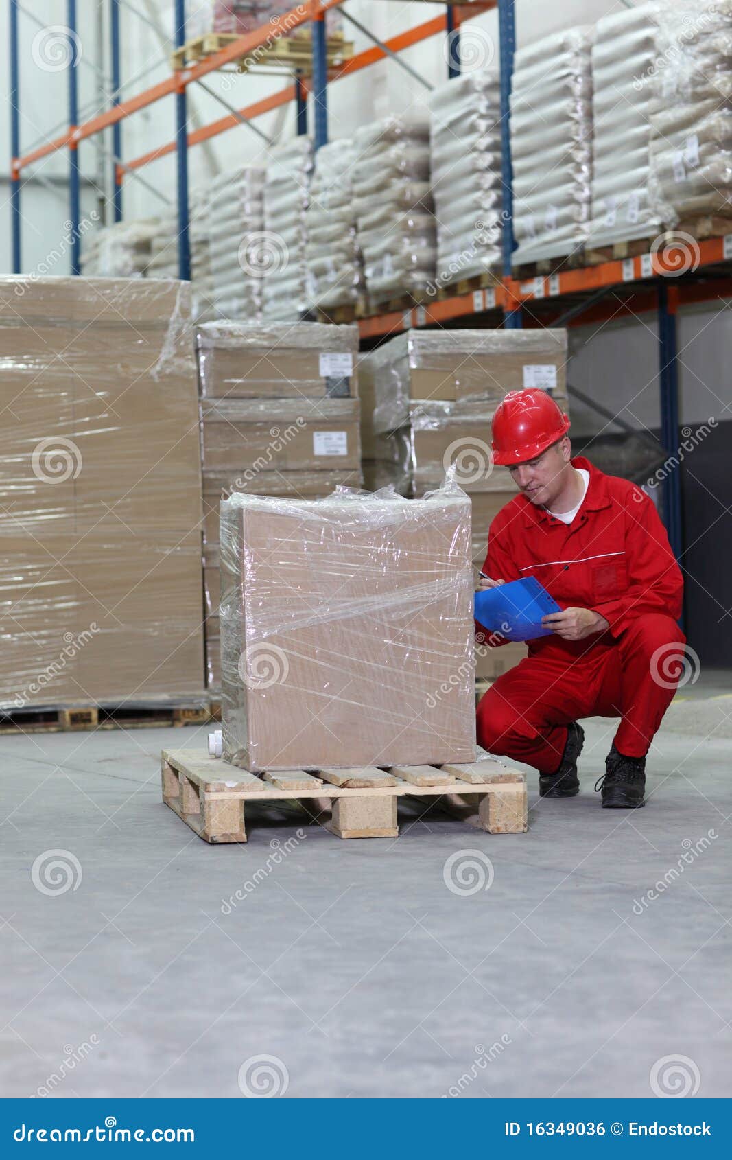 Crouching Worker Checking Specification Stock Photo - Image of goods ...