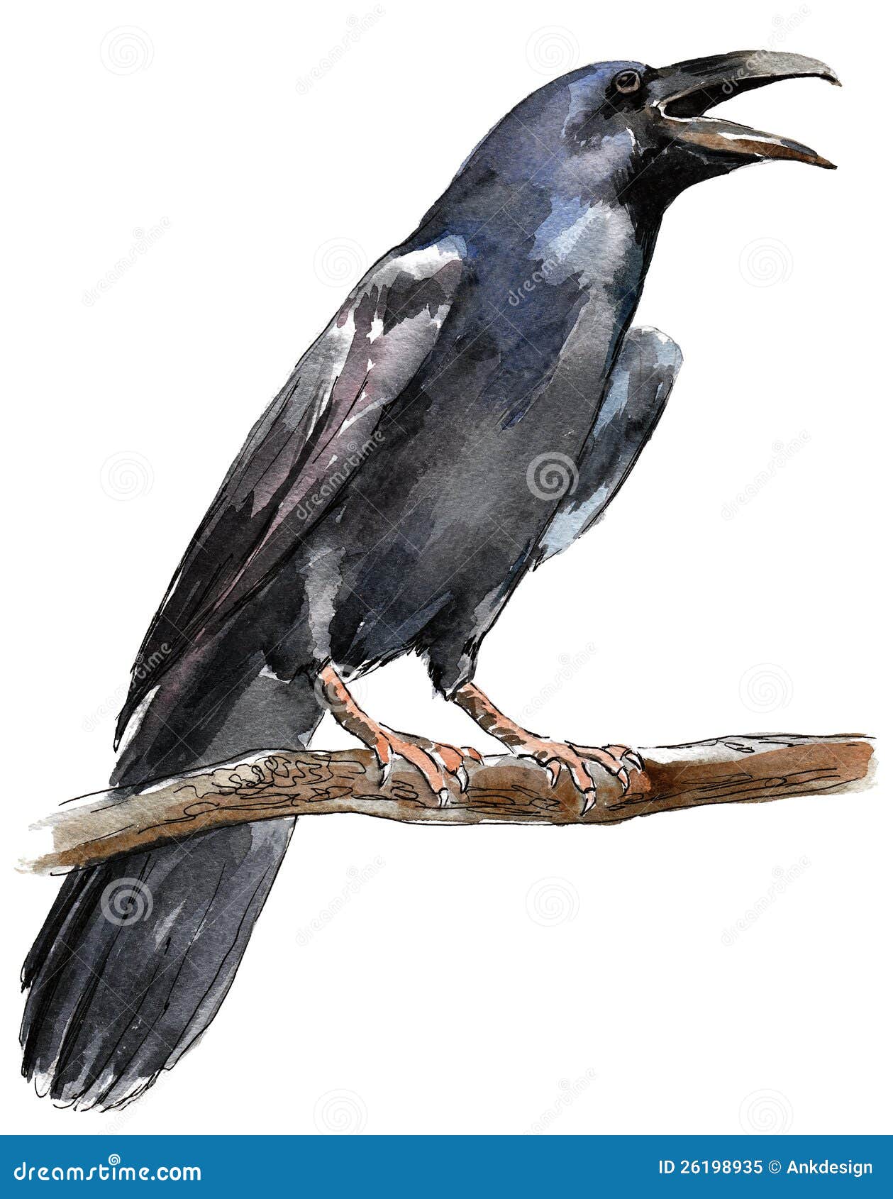 Crow stock illustration. Illustration of halloween, bird - 26198935