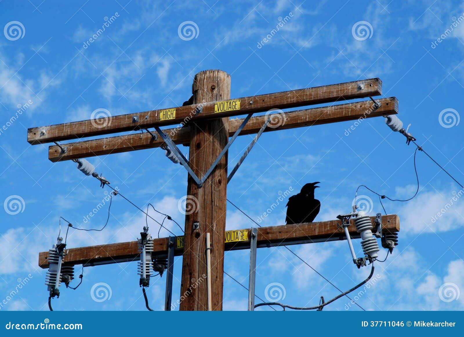 Crow Transition Stock Photos - Free & Royalty-Free Stock Photos from ...