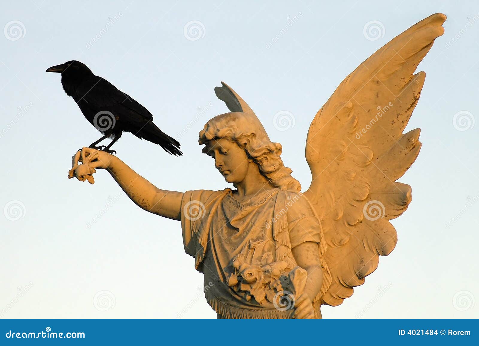 Crow and angel stock photo. Image of white, cemetery, grave - 4021484