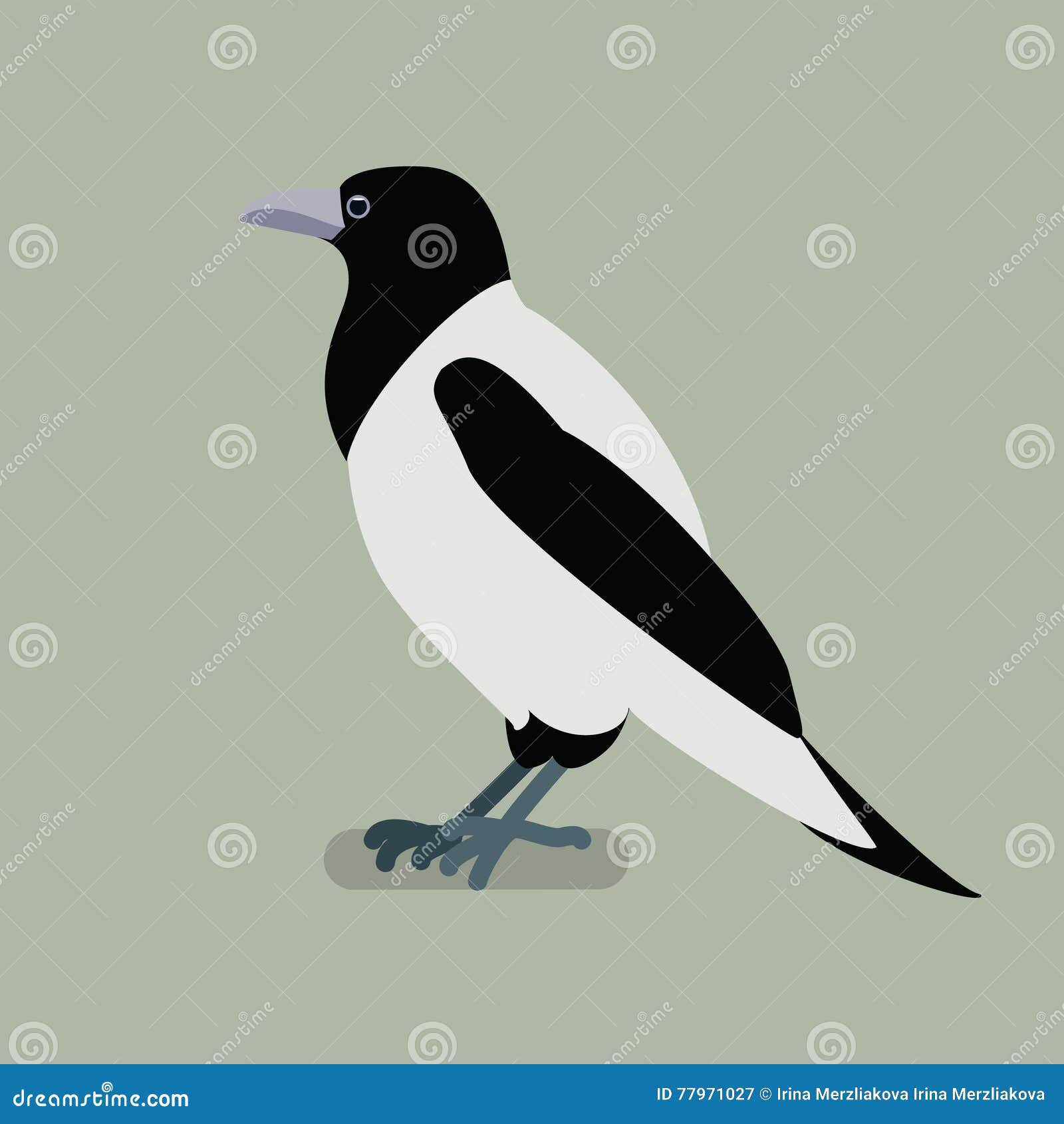 Crow Bird on a Branch. Vector Illustration of a Flat Stock Vector ...