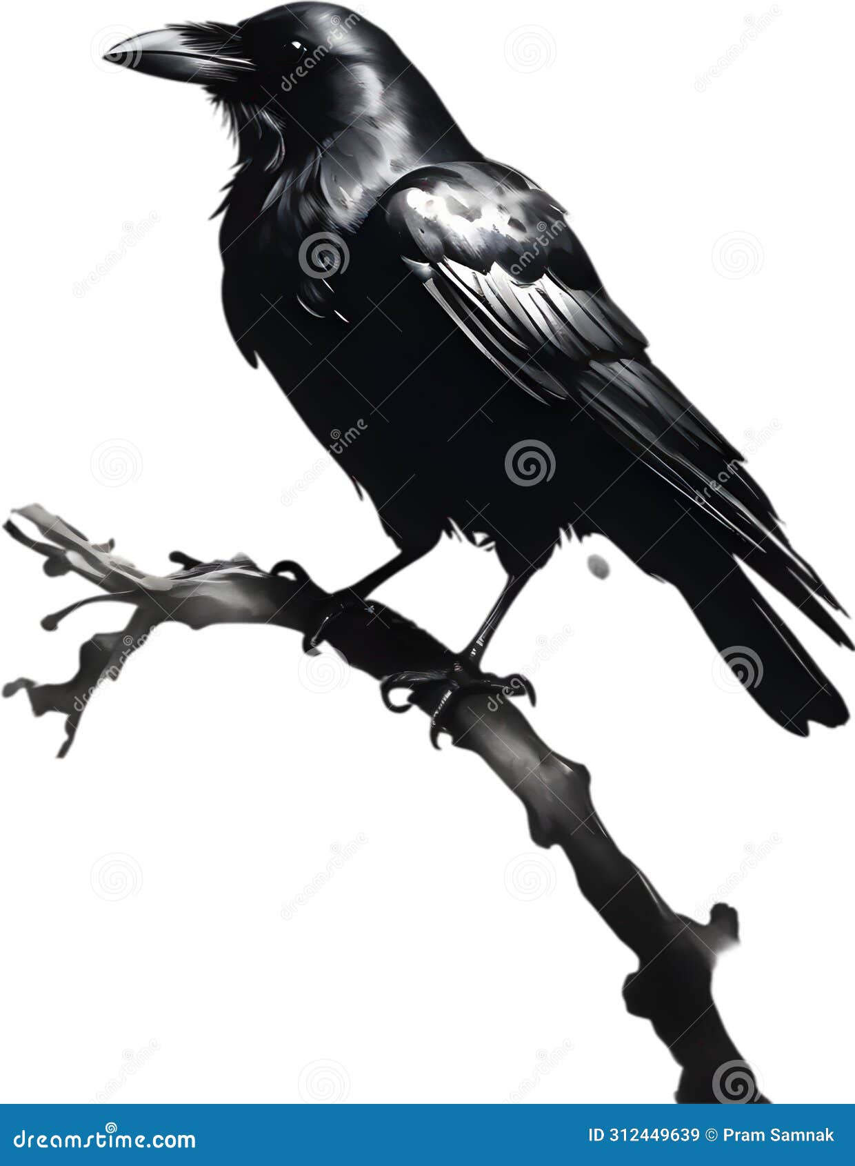 Crow Bird, Drawing of a Crow Bird Using the Japanese Brushstroke ...