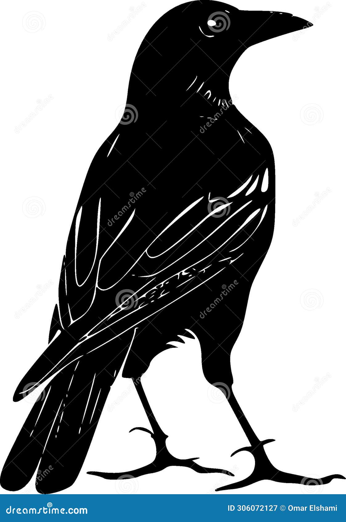 Crow - Black and White Vector Illustration Stock Illustration ...