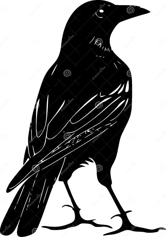 Crow - Black and White Vector Illustration Stock Illustration ...