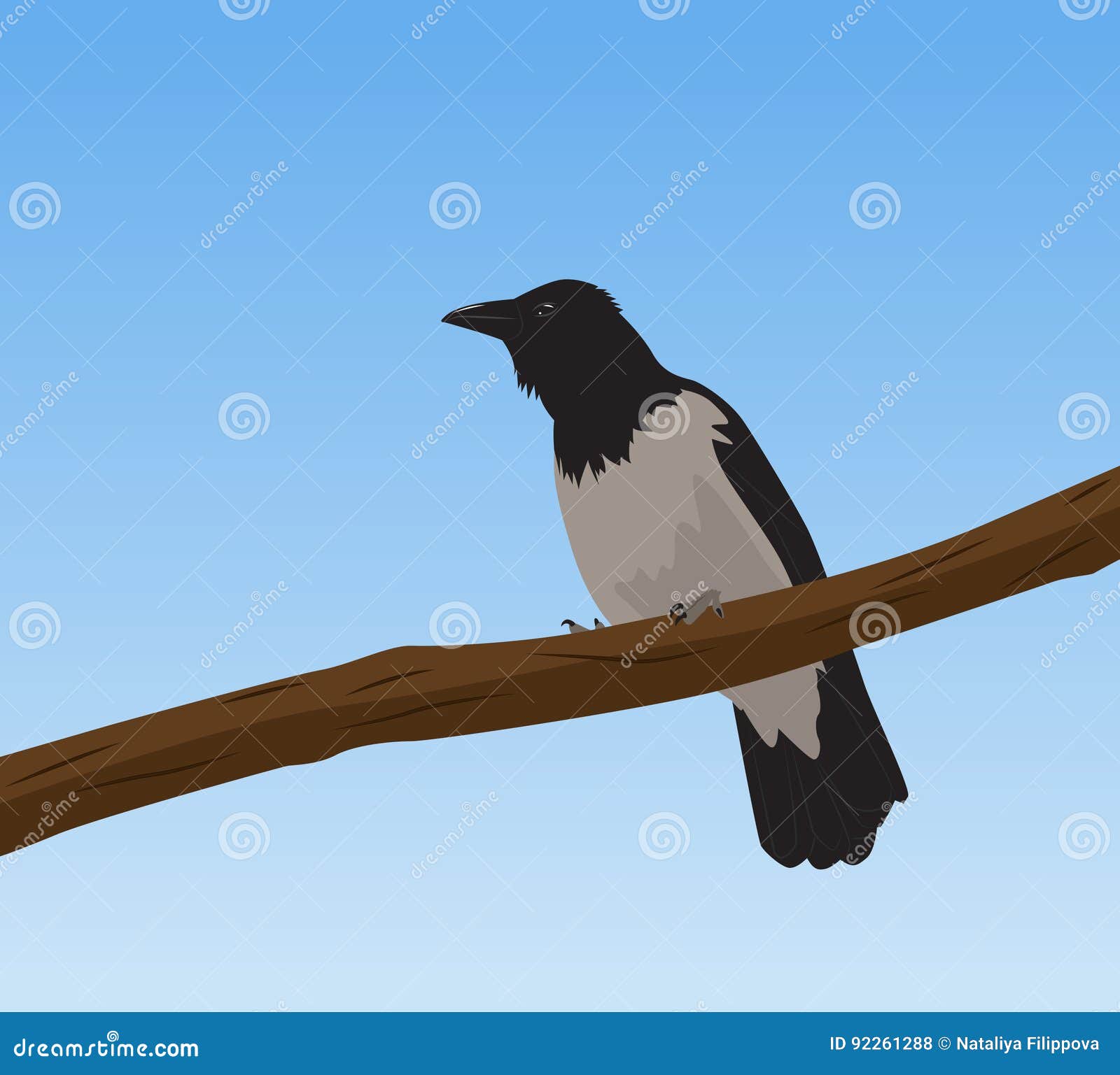 Crow on branch stock vector. Illustration of wildlife - 92261288