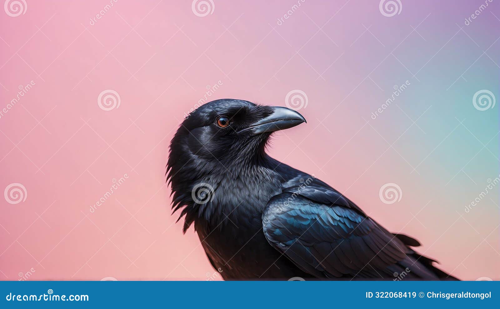 Pastel Crow In Multilayered Dimensions Stock Photography ...