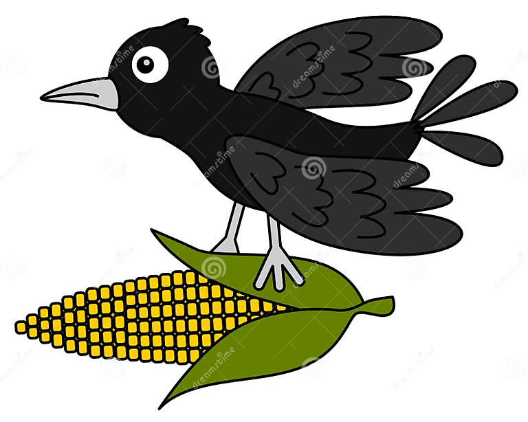 Crow with corn stock illustration. Illustration of food - 30919153