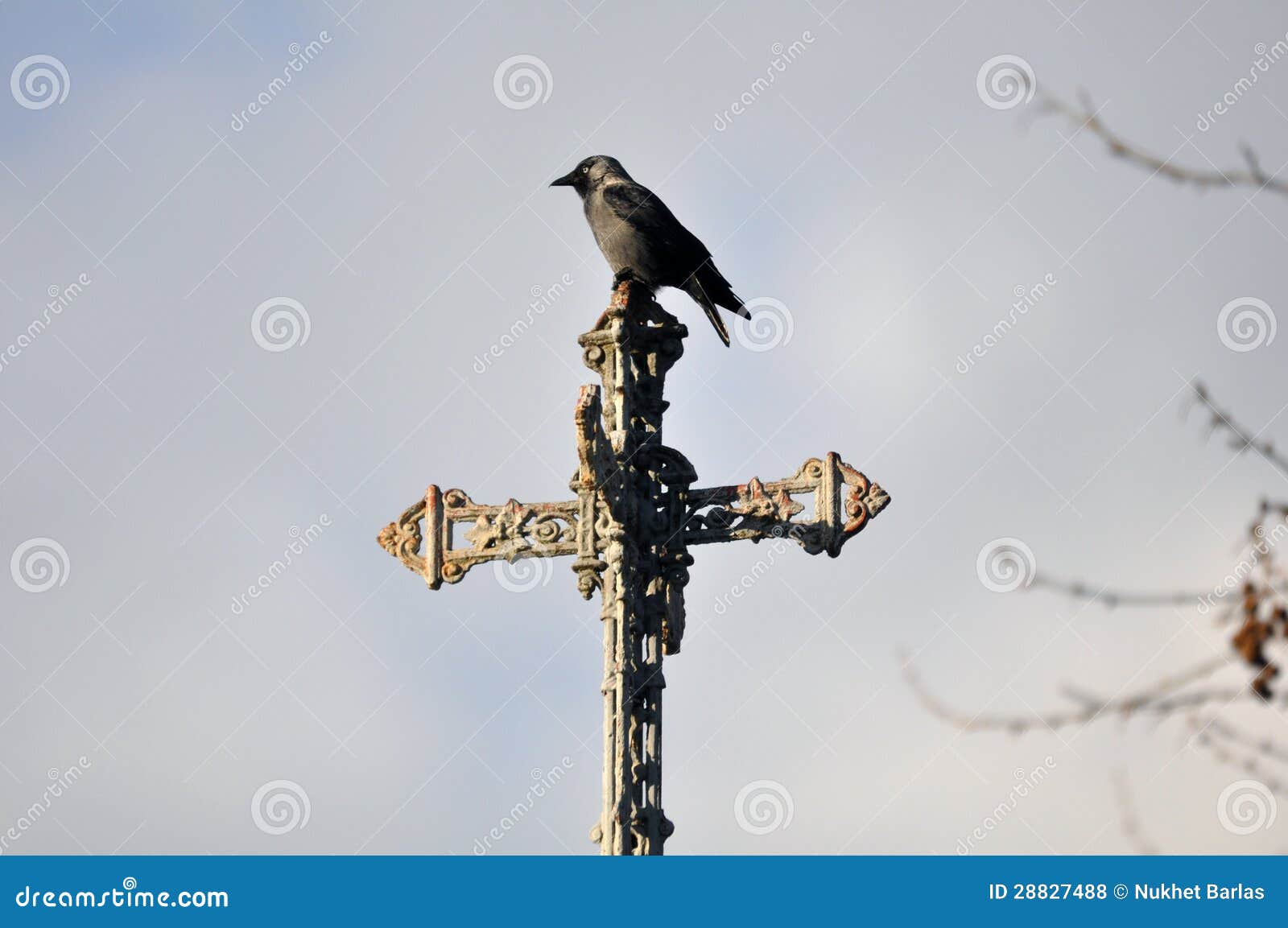 Crow on a Cross stock photo. Image of cross, bird, iron - 28827488