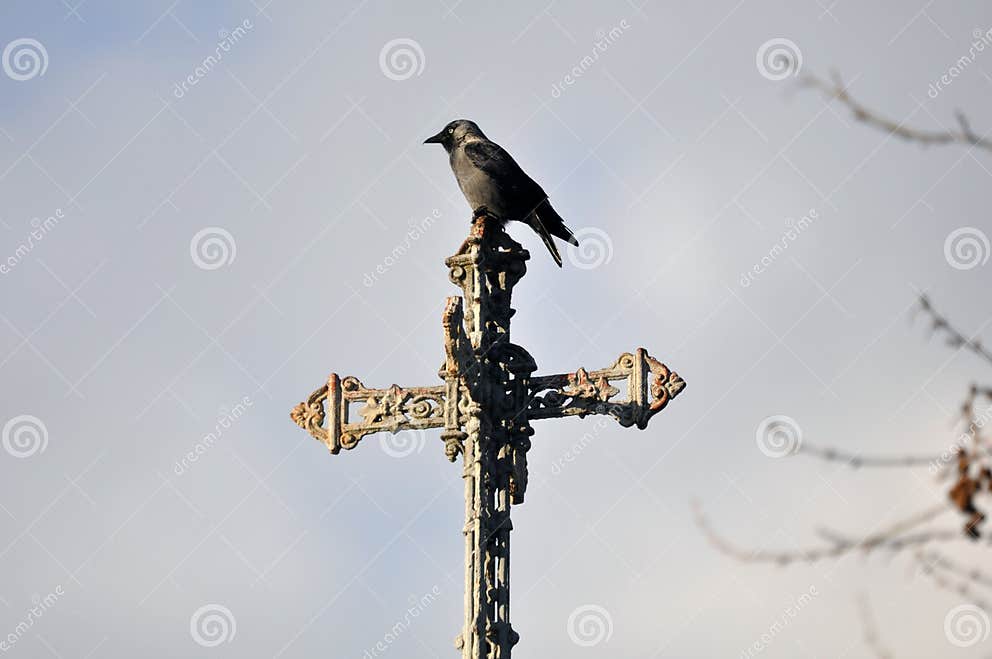 Crow on a Cross stock photo. Image of cross, bird, iron - 28827488
