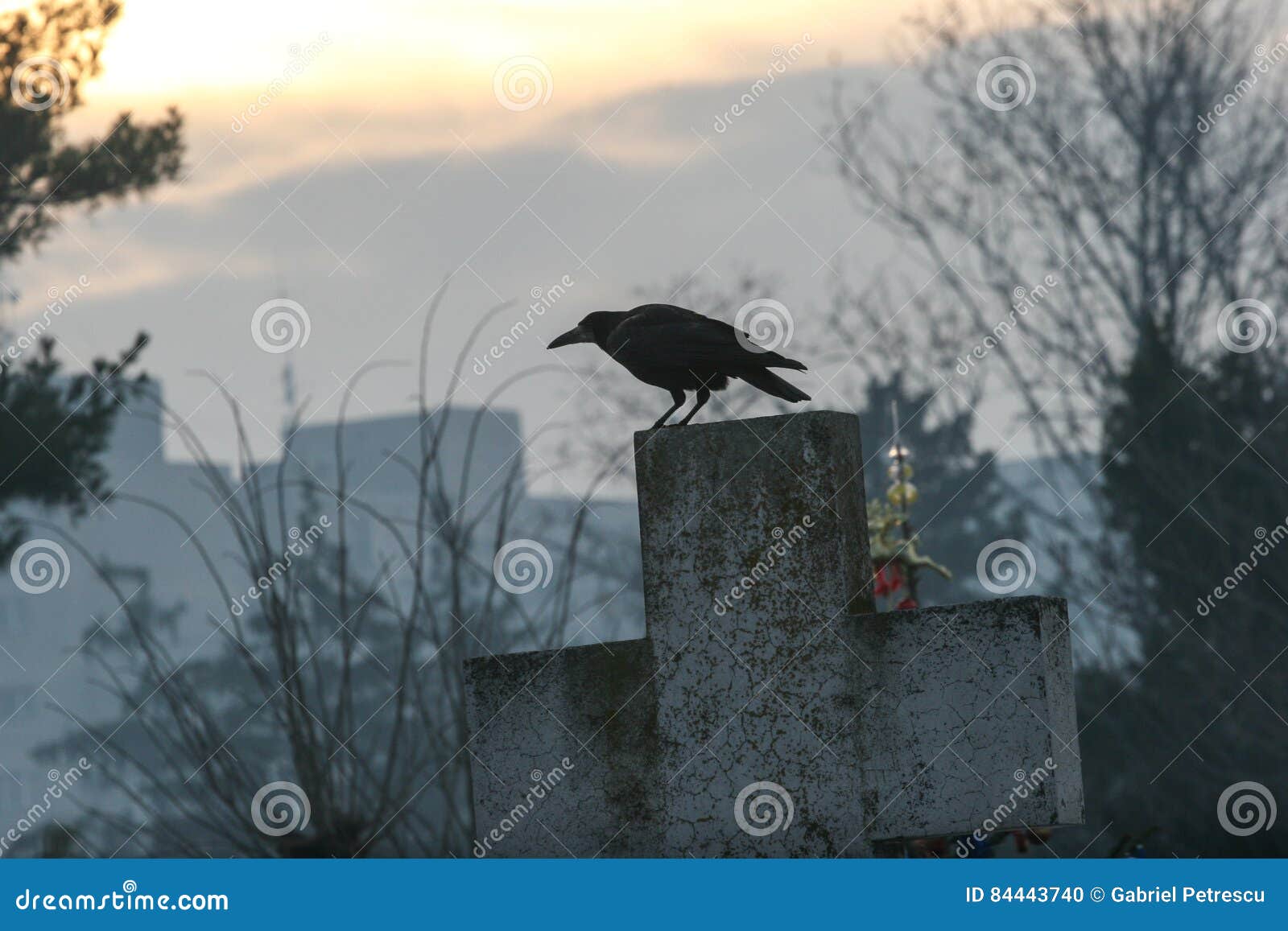 Crow on a Cross in a Cemetery Stock Photo - Image of cross, tradition ...