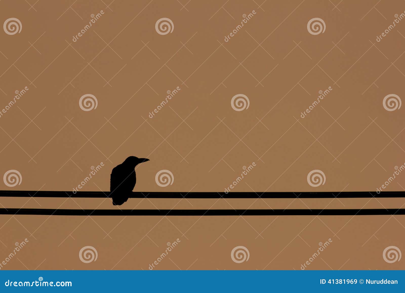 Crow On An Electric Wire Stock Image | CartoonDealer.com #87666079